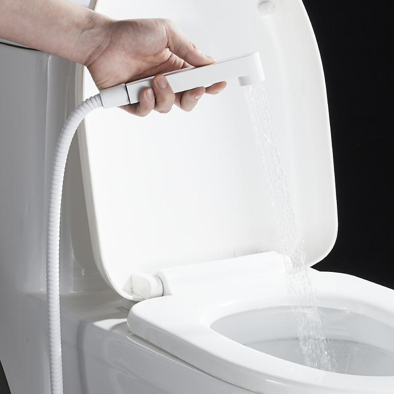 Intimate hygiene shower set with mixer and hose, white matte Daisy ...