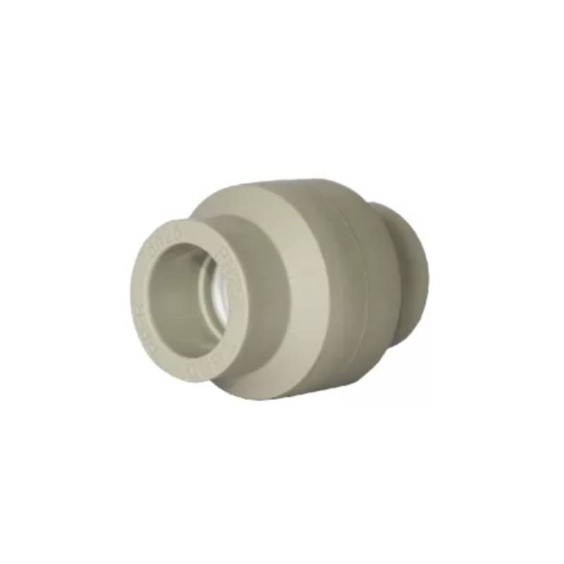 PPR Check valve check valve Ф25mm ⋆ MASTERHAUS