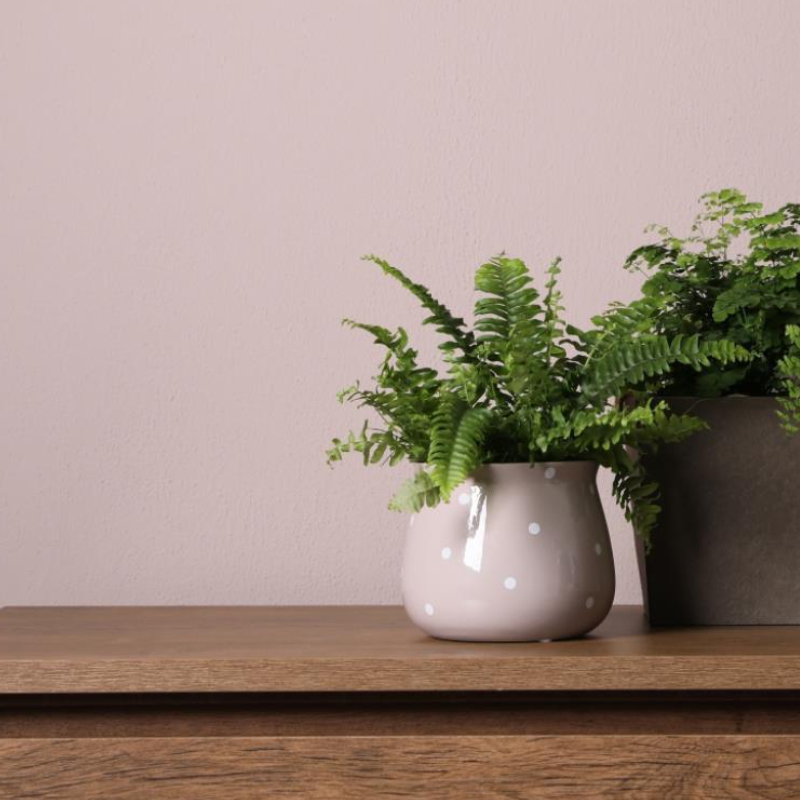 Ceramic flower pot 13x10cm cream with dots Deco POLNIX ⋆ MASTERHAUS