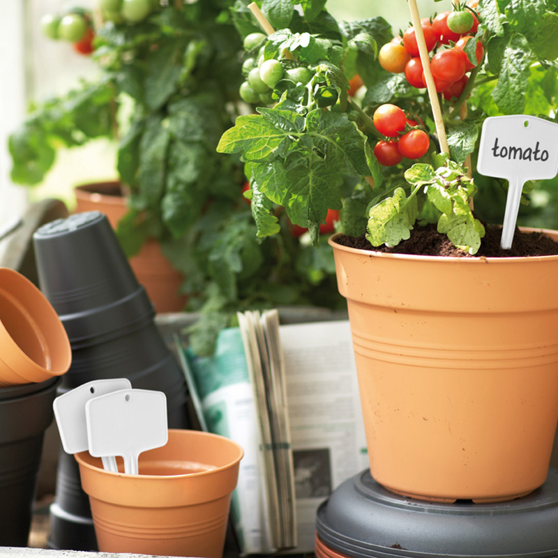 Labels for plants ELHO set S 5 pcs. lime ⋆ MASTERHAUS