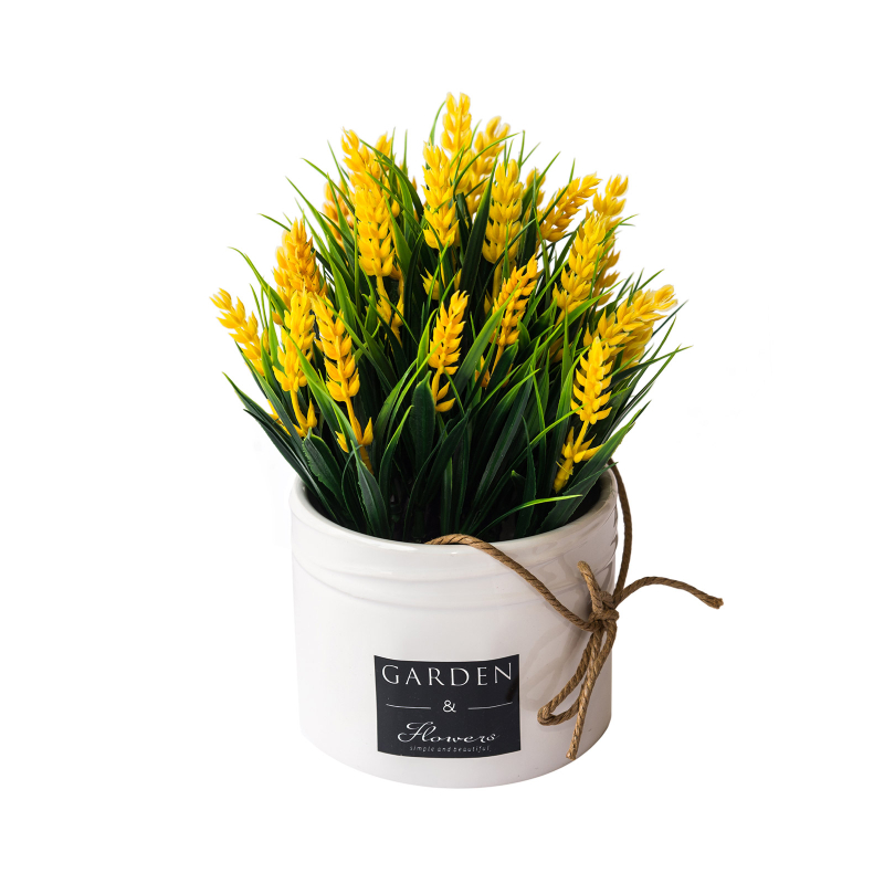 Plant arrangement in a yellow pot 16x18.5cm ⋆ MASTERHAUS