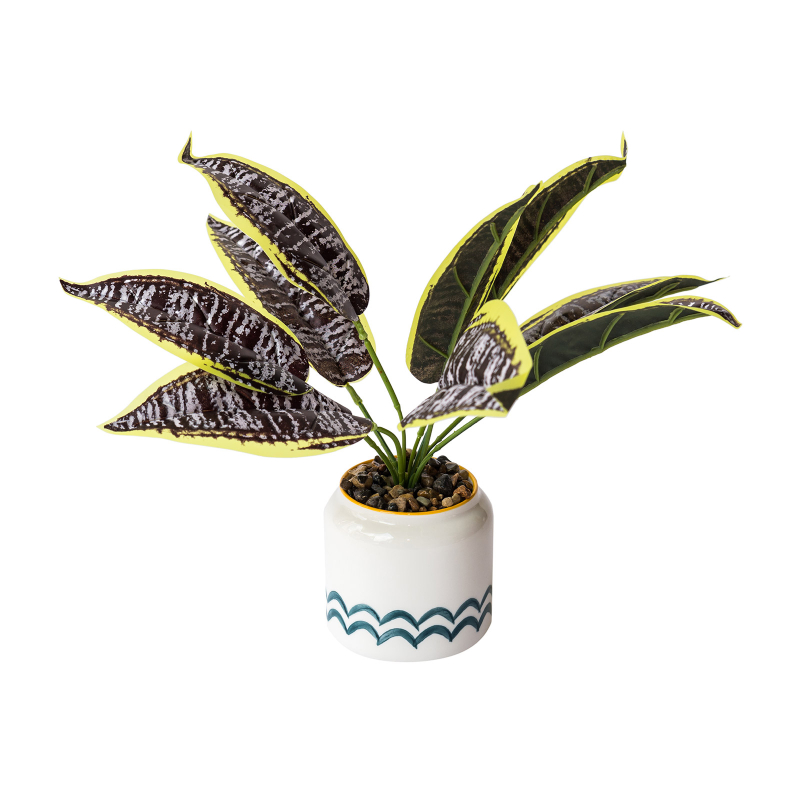 Аранжировка растение в керамична кашпа 28см ⋆ MASTERHAUS