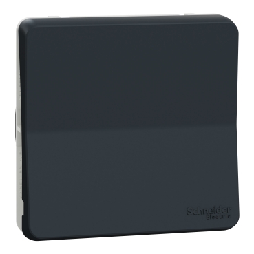 Light switch deviator/regular 10A anthracite, Mureva for recessed ...
