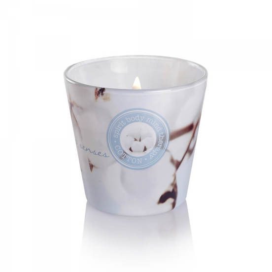 Scented candle in a cup Wellness&Beauty cotton ⋆ MASTERHAUS