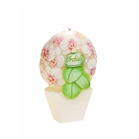 Candle Orchid 14.5cm bouquet in box 11058618 ⋆ MASTERHAUS