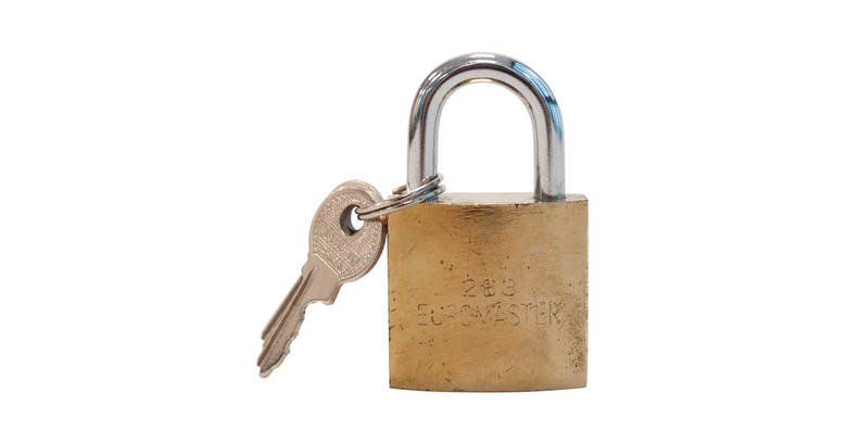 Brass padlock with silver lock 32 mm ⋆ MASTERHAUS