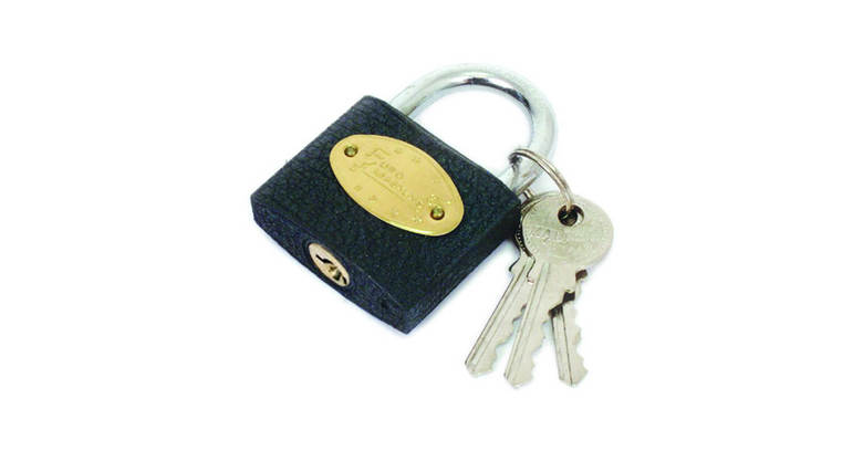 Padlock 38 mm gray ⋆ MASTERHAUS