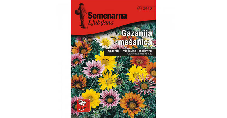 Семена за цветя Газания Gazania splendens hib.-Mix ⋆ MASTERHAUS