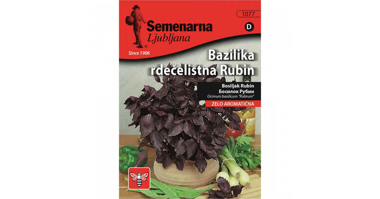 Red Basil Seeds ⋆ MASTERHAUS