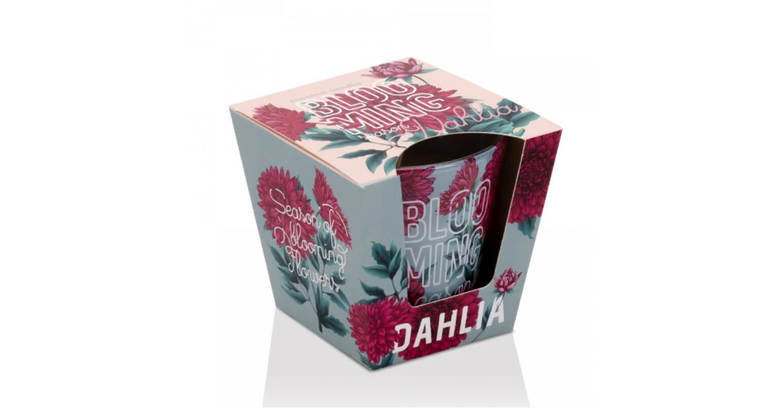 Scented candle in a glass Blooming Season Peony ⋆ MASTERHAUS