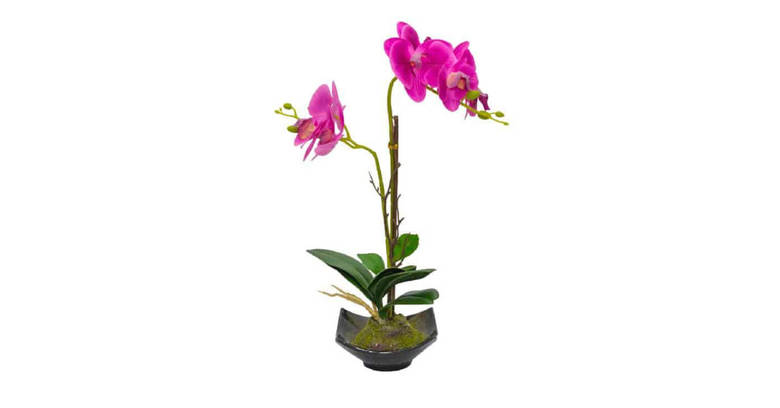 Arrangement Orchid 12.5x12.5x44cm cyclamen in a pot 4138 ⋆ MASTERHAUS