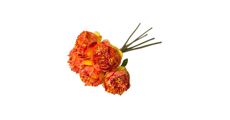 Аранжировка букет Божури 5бр оранжев ⋆ MASTERHAUS