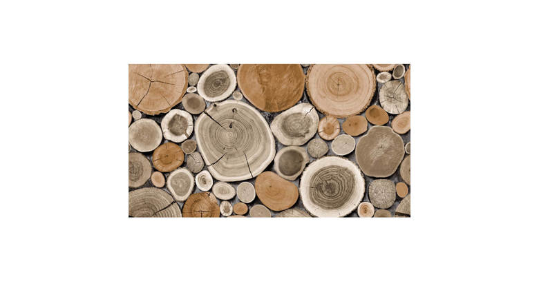 Single-layer paper wallpaper Slice - 53 cm x 10 m, with moisture ...